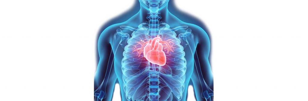 Aromatherapy for Cardiovascular System Support - Natural Mall